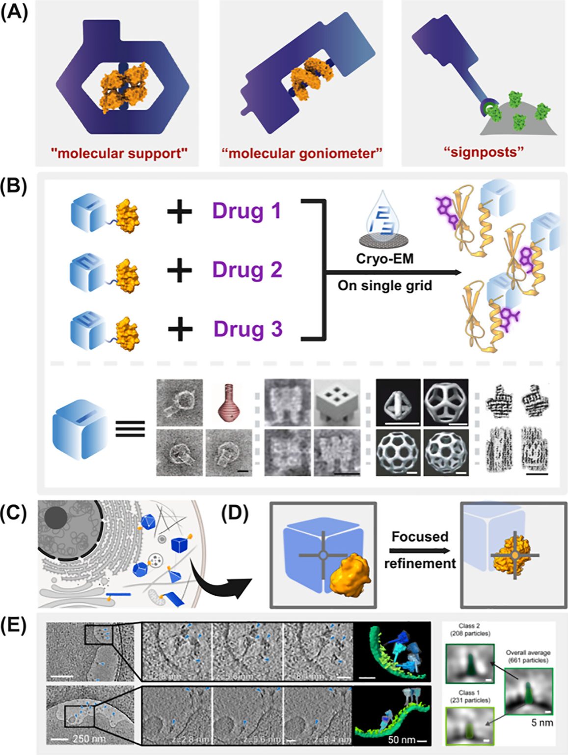 DNA Nanotags: A Novel Concept for 3D Model Reconstruction in Electron ...